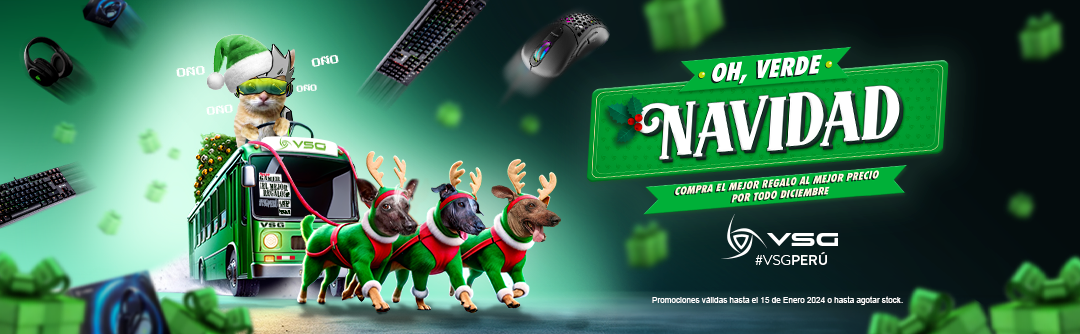 VSG Perú